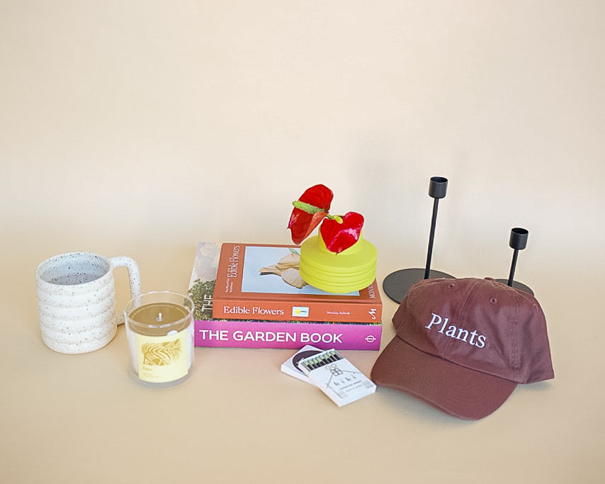 Holiday Gift Guide – Fern Shop Cincinnati