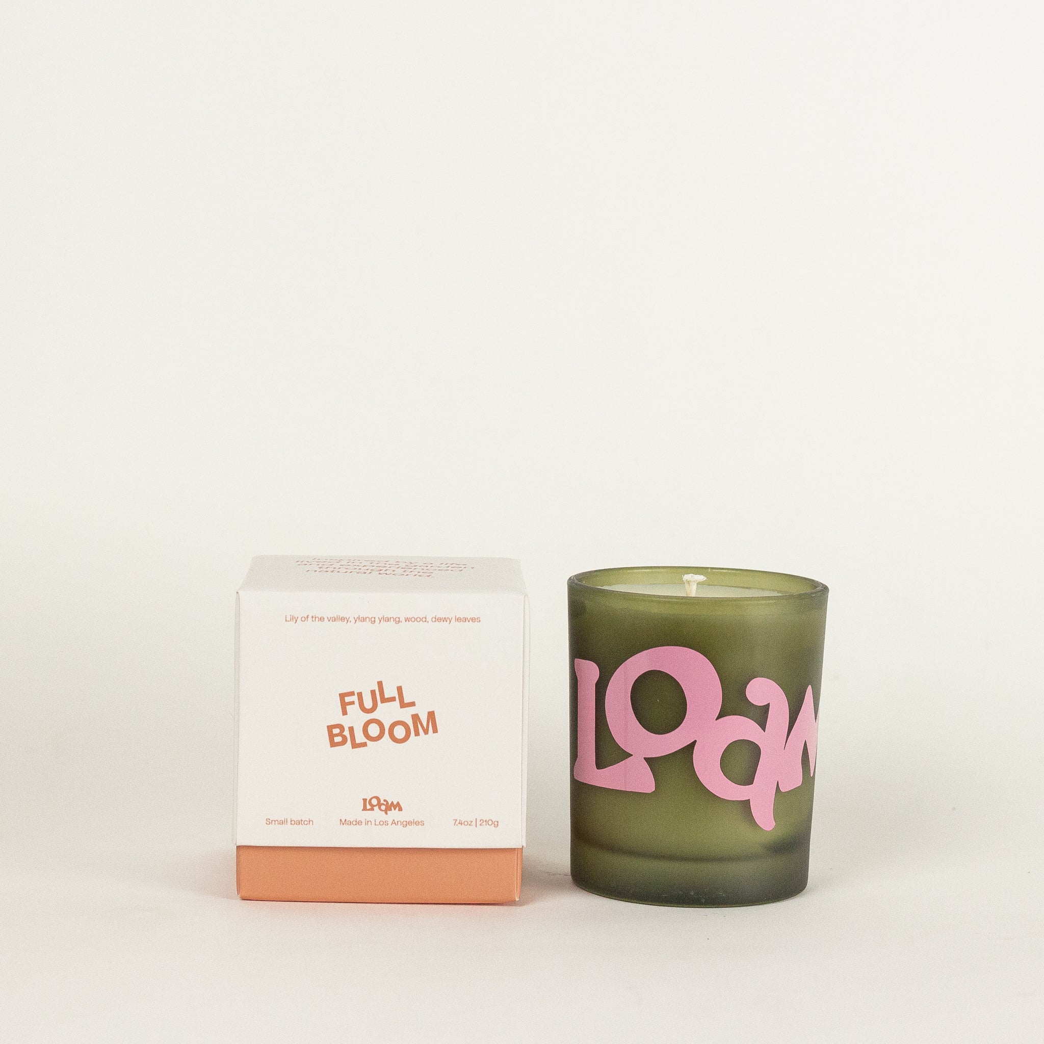 Full Bloom – Fern Shop Cincinnati