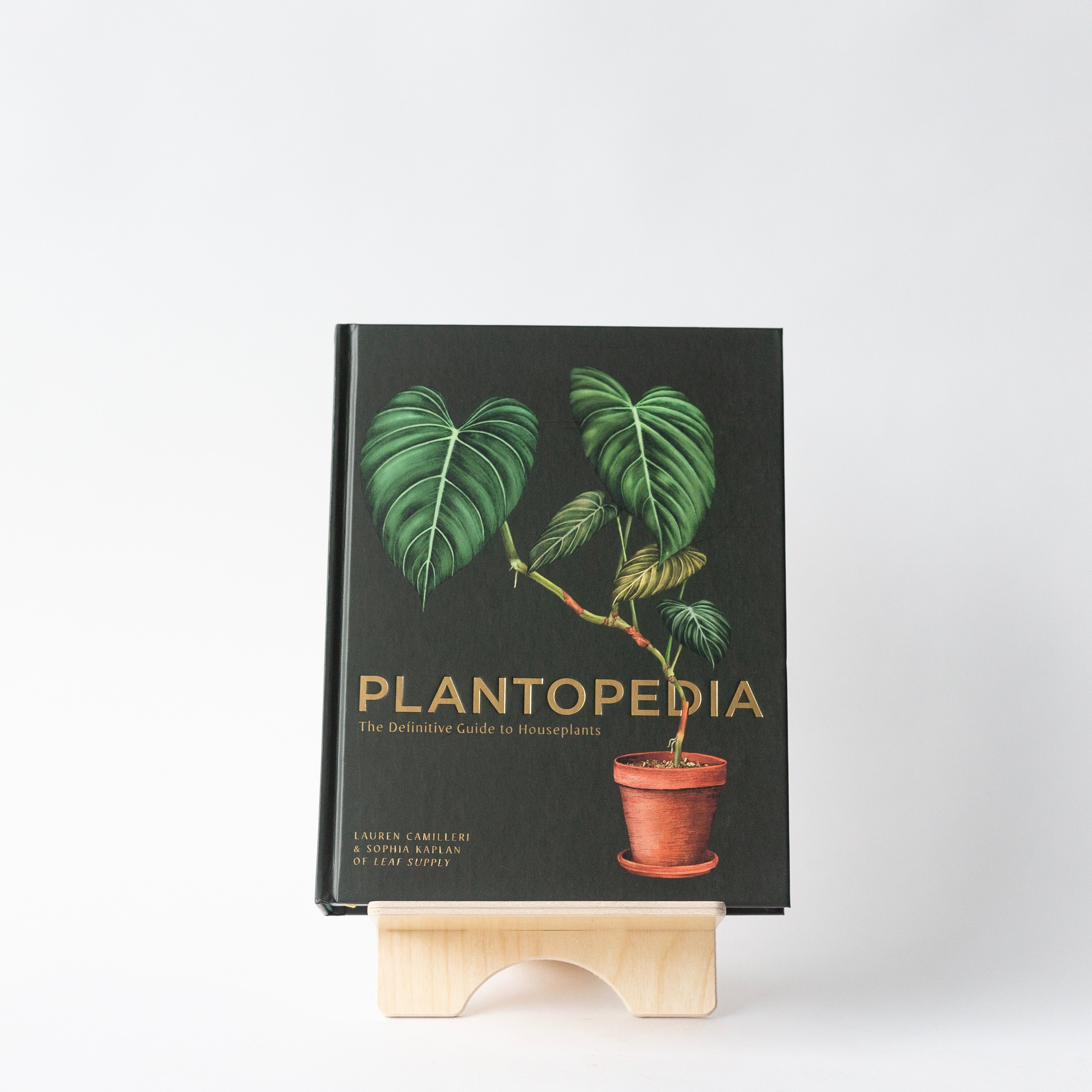 Home Decor – Fern Shop Cincinnati