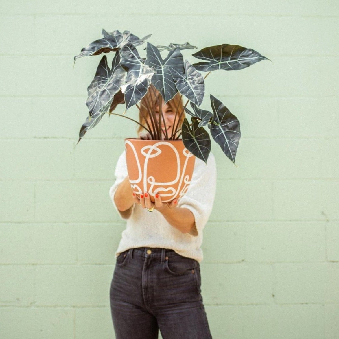 Classes – Fern Shop Cincinnati